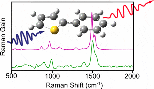 Accurate Assignments of Excited-State Resonance Raman Spectra: A ...
