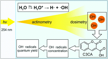 At the crossroad of photochemistry and radiation chemistry: formation ...