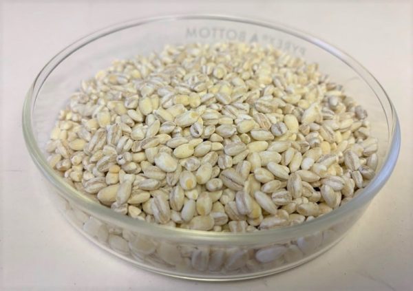 Barley Sample - StellarNet, Inc.