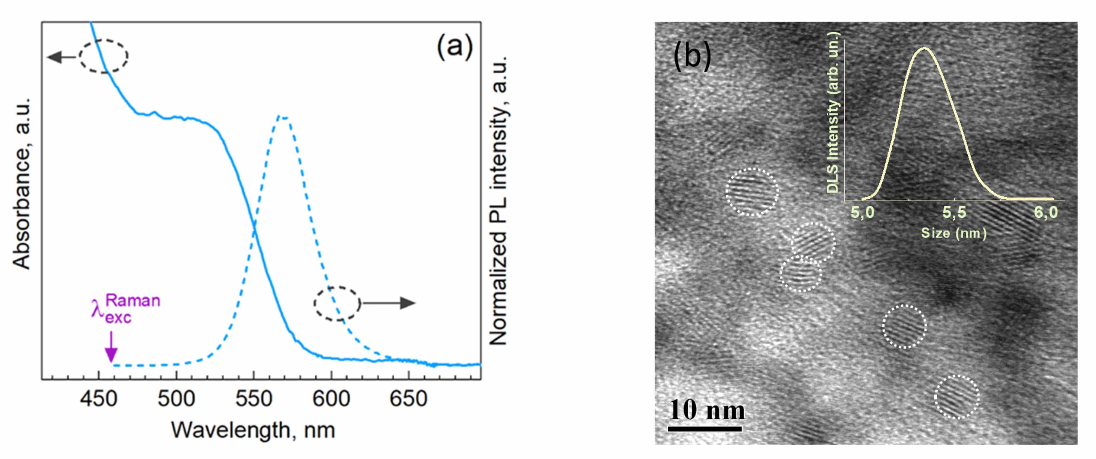 Core And Shell Contributions To The Phonon Spectra Of Cdtecds Quantum