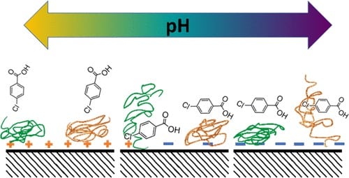Delineating the Effects of Molecular and Colloidal Interactions of ...