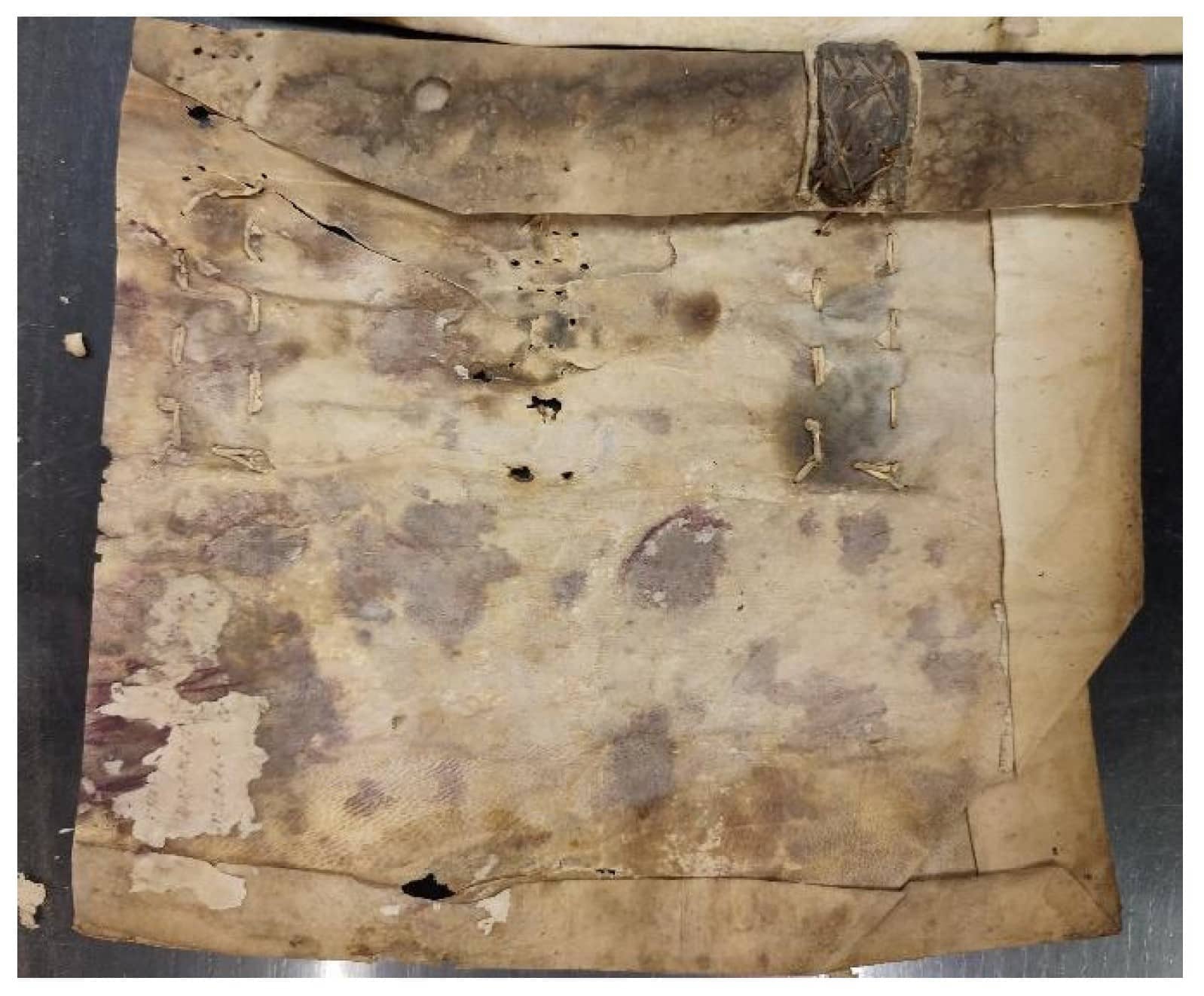 Evaluation of the Irradiation Treatment Effects on Ancient Parchment ...