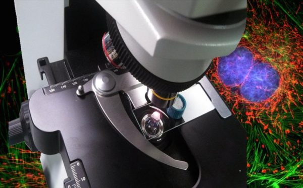 StellarSCOPE™ System for Microscopy | StellarNet.us