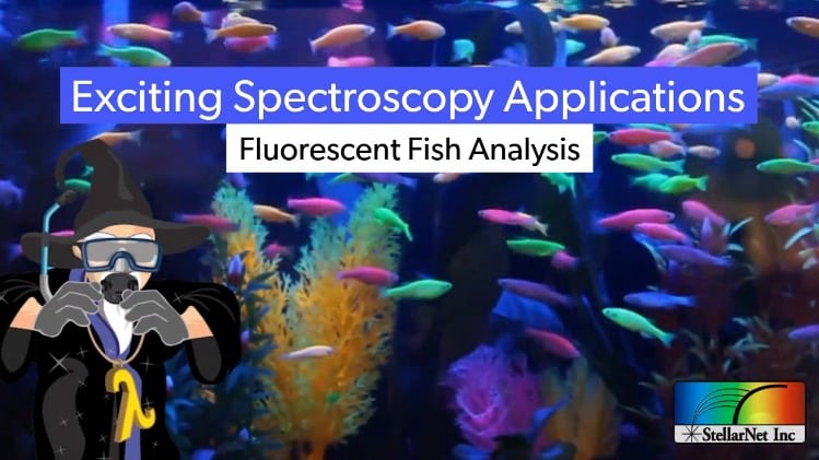 Fluorescent Fish Analysis - Exciting Spectroscopy - StellarNet, Inc.