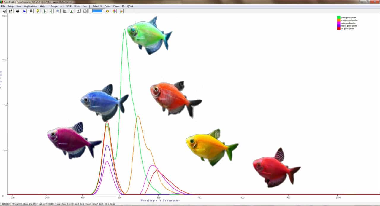 Fluorescent Fish Analysis - Exciting Spectroscopy - StellarNet, Inc.