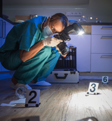 World Photo Day: Spectroscopy and Photography - StellarNet, Inc.