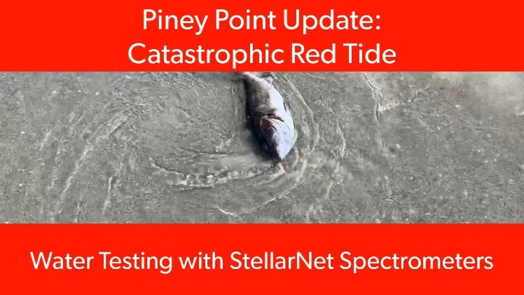 Piney Point Update: Catastrophic Red Tide in Tampa Bay - Water Quality ...