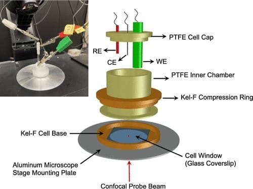 In Situ Confocal Raman Microscopy of Redox Polymer Films on Bulk ...