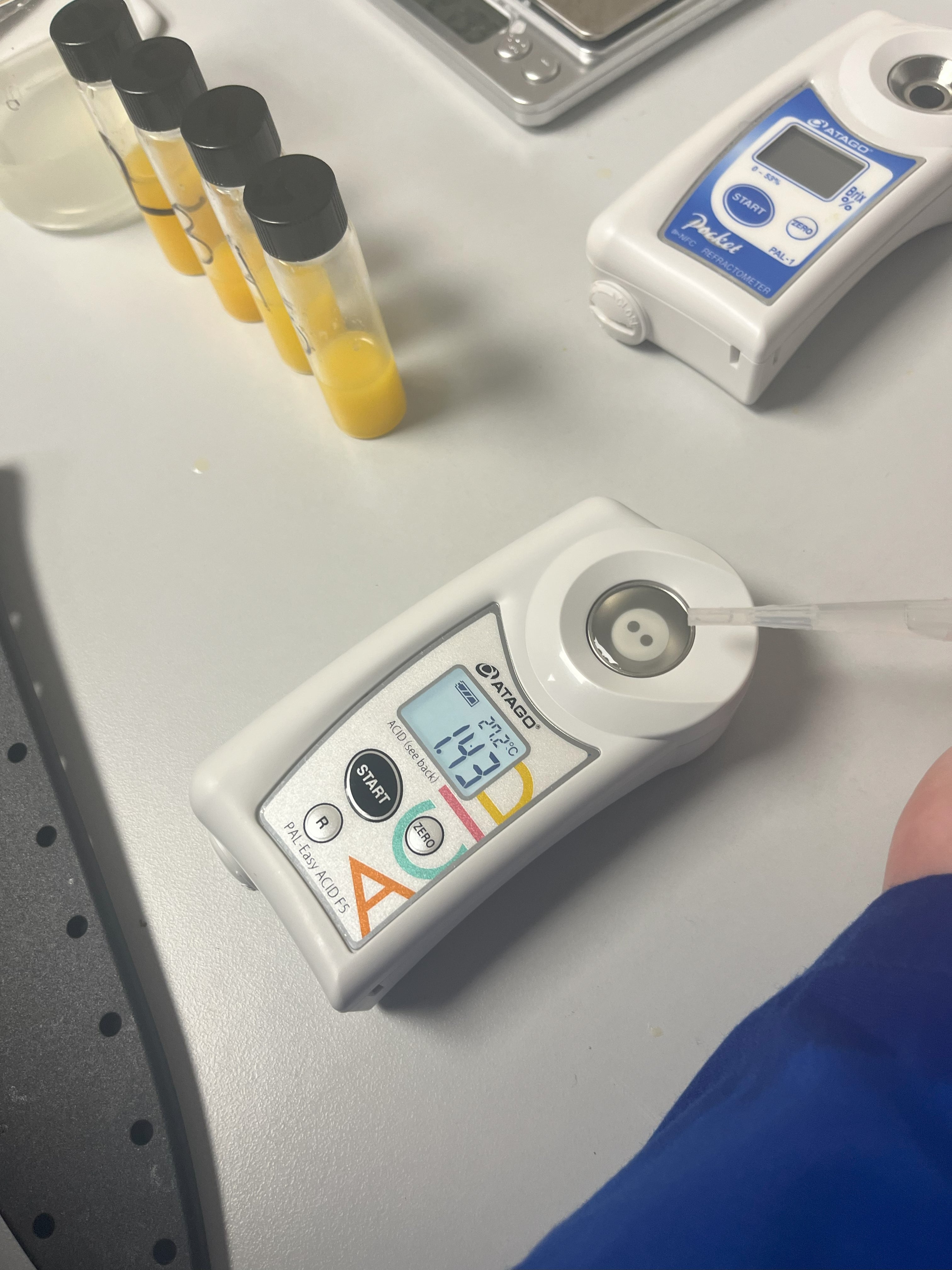 Mango-atago-brix - StellarNet, Inc.