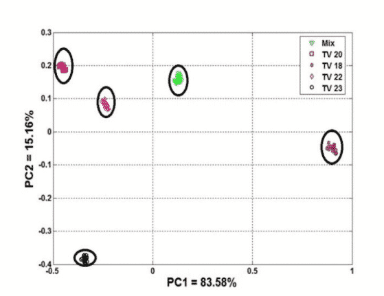 PCA plot of Tea Clones - StellarNet, Inc.