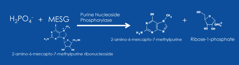 PNP-ASSAY-SCHEMA - StellarNet, Inc.