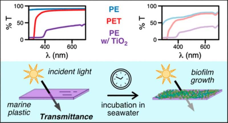 Product Formulation Controls the Impact of Biofouling on Consumer ...