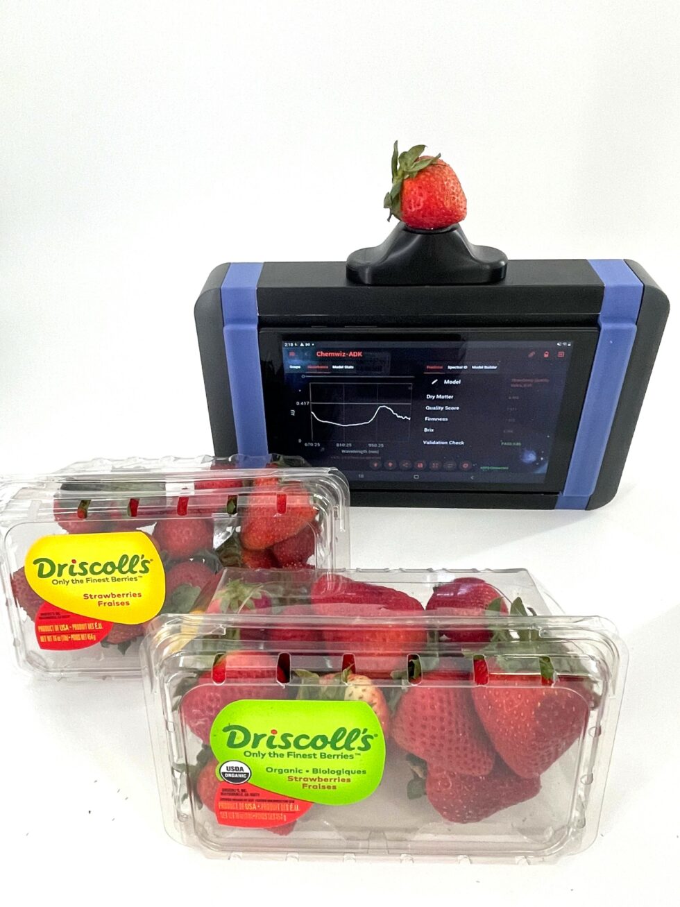 Summer Spectroscopy BBQ- Quality Analysis of Meats and Fresh Fruits ...