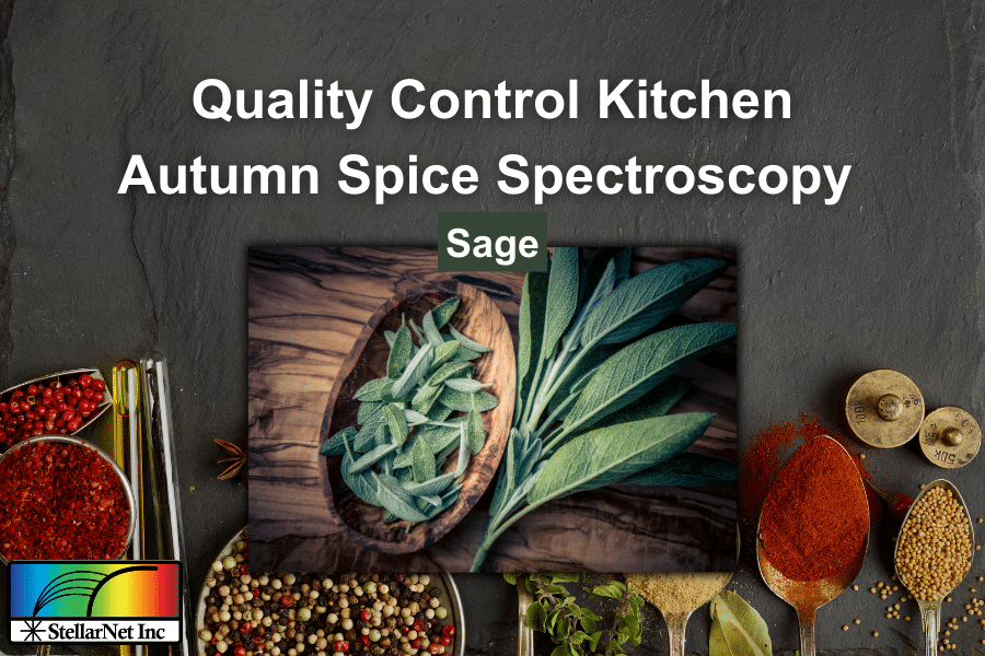 Quality Control Kitchen: Autumn Spice Spectroscopy - StellarNet, Inc.
