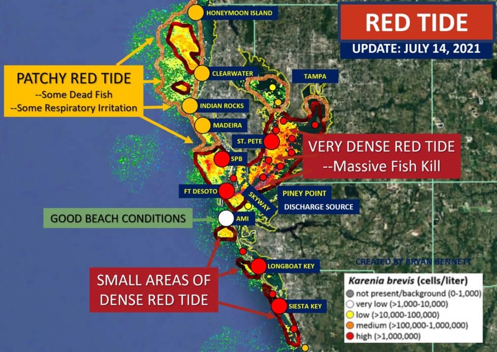 Piney Point Update: Catastrophic Red Tide in Tampa Bay - Water Quality ...