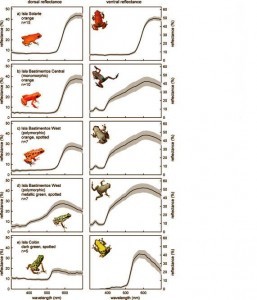 Female Preferences for Aposematic Signal Components in a Polymorphic ...