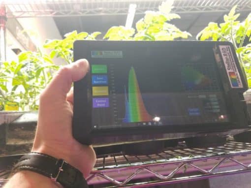 Spectrometer Application Note: How do Different Light Sources Affect ...