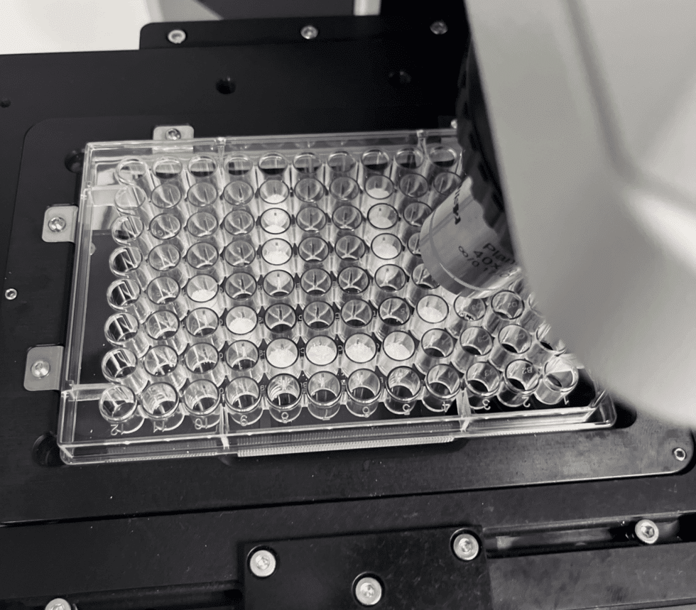 StellarSCOPE™ System for Microscopy | StellarNet.us