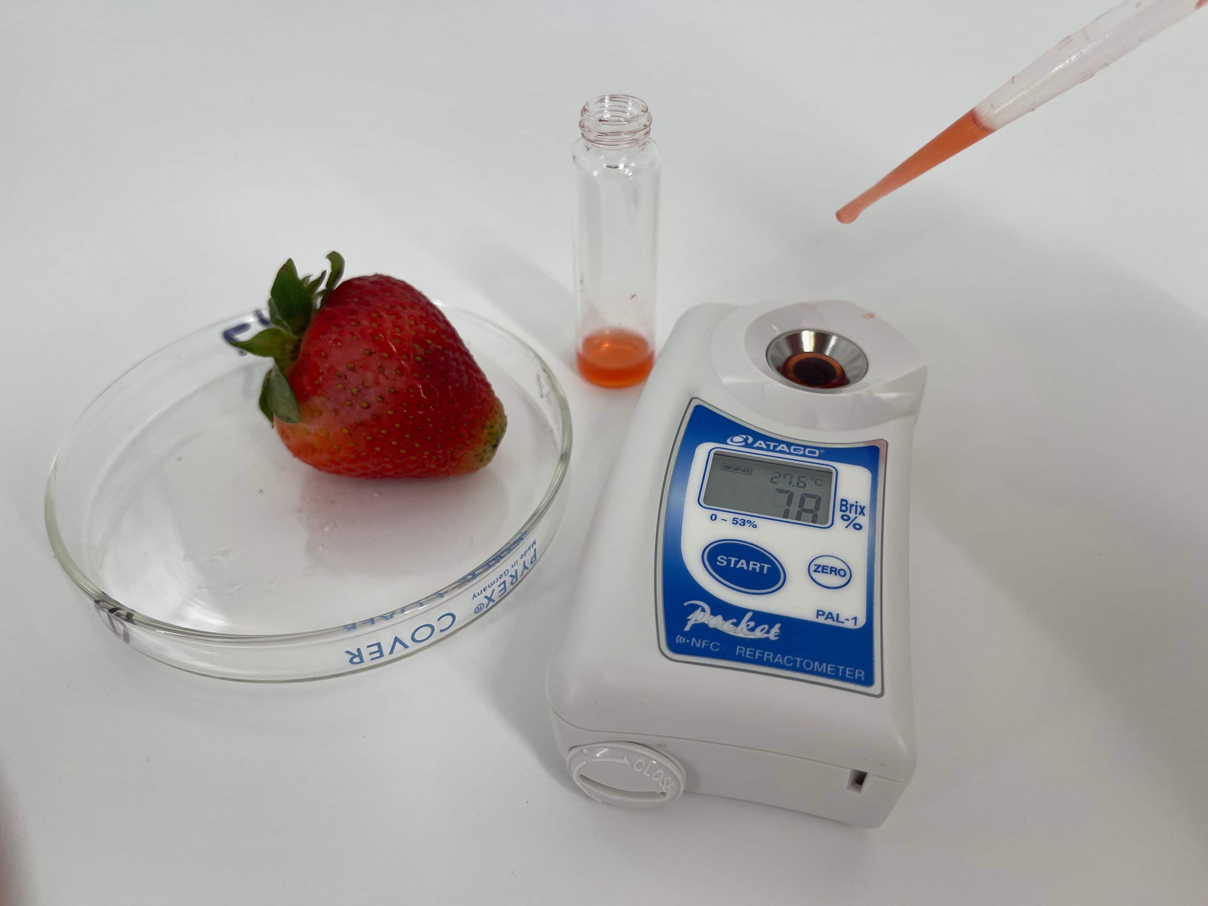 Summer Spectroscopy BBQ- Quality Analysis of Meats and Fresh Fruits ...
