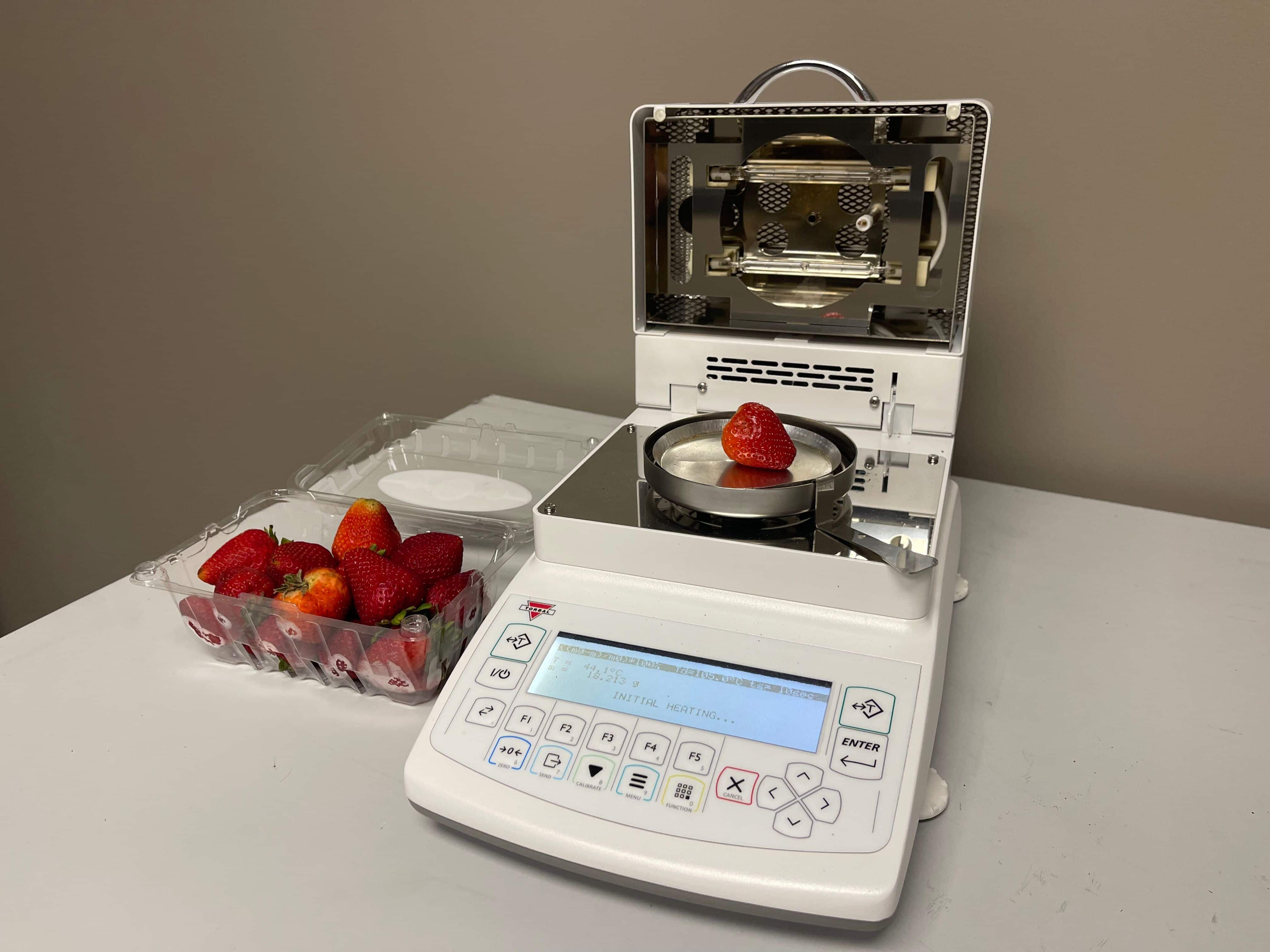 Summer Spectroscopy BBQ- Quality Analysis of Meats and Fresh Fruits ...