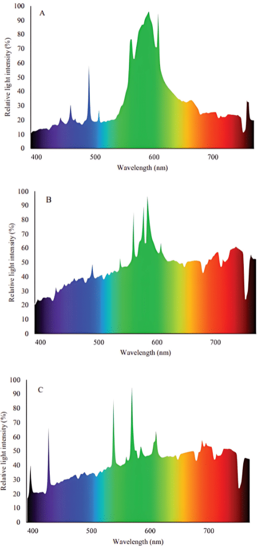 Evaluating the effect of supplementary lighting on the growth and ...