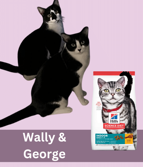 The Pets of StellarNet and the ChemWiz-ADK™ NIR Feed and Pet Food ...