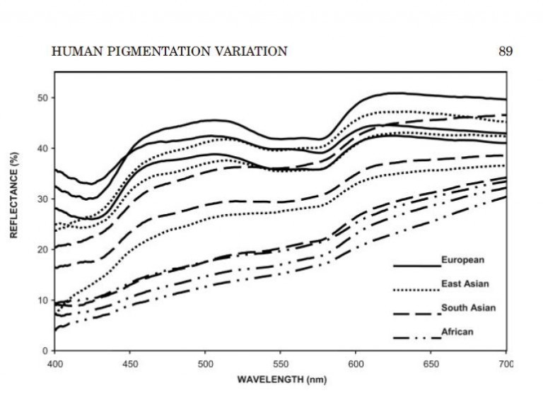 diffuse reflectance spectrum of skin pigmentation with StellarNet ...