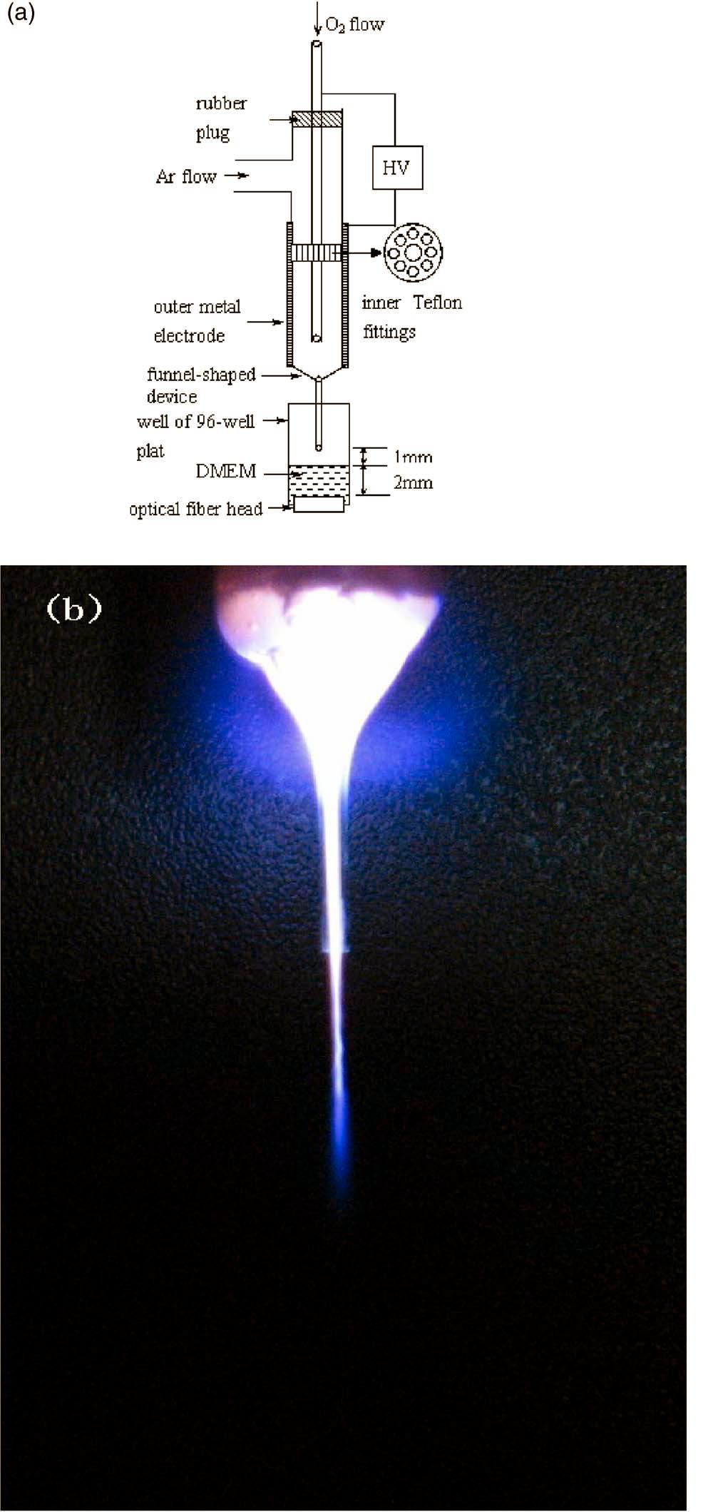 Ablation of Liver Cancer Cells in Vitro by a Plasma Needle ...