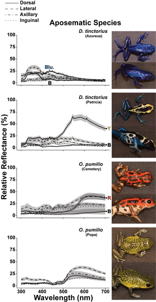The relationship between spectral signals and retinal sensitivity in ...