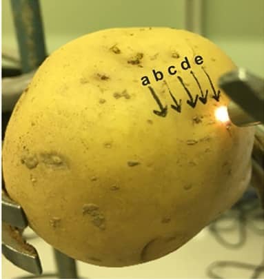 A Spectroscopy Feast- A Thanksgiving Helping of Spectroscopy for Food ...