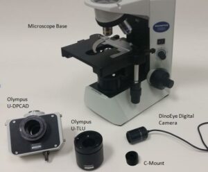 Microscope – Quick Start - StellarNet, Inc.
