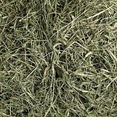 Forage and Feedstuff Analyzer - StellarNet, Inc.
