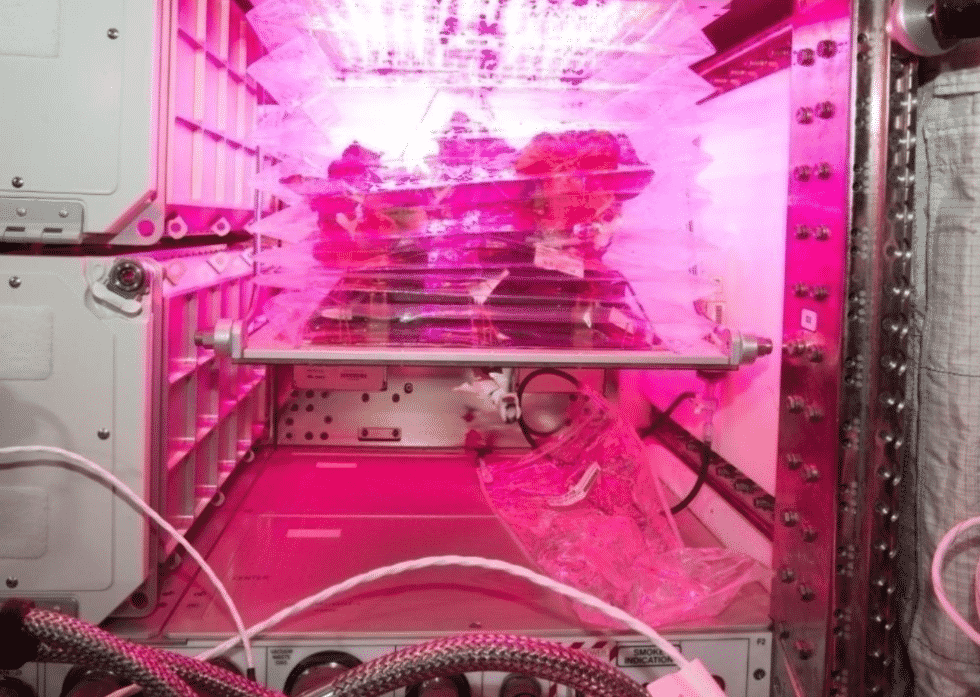 Spectroscopy in Space- Extreme Spectrometer Applications - StellarNet, Inc.