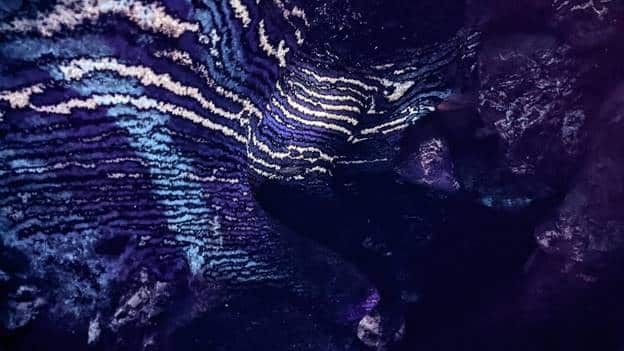 The SpectraWizard's Spectroscopy Application Challenge Results 2022 ...